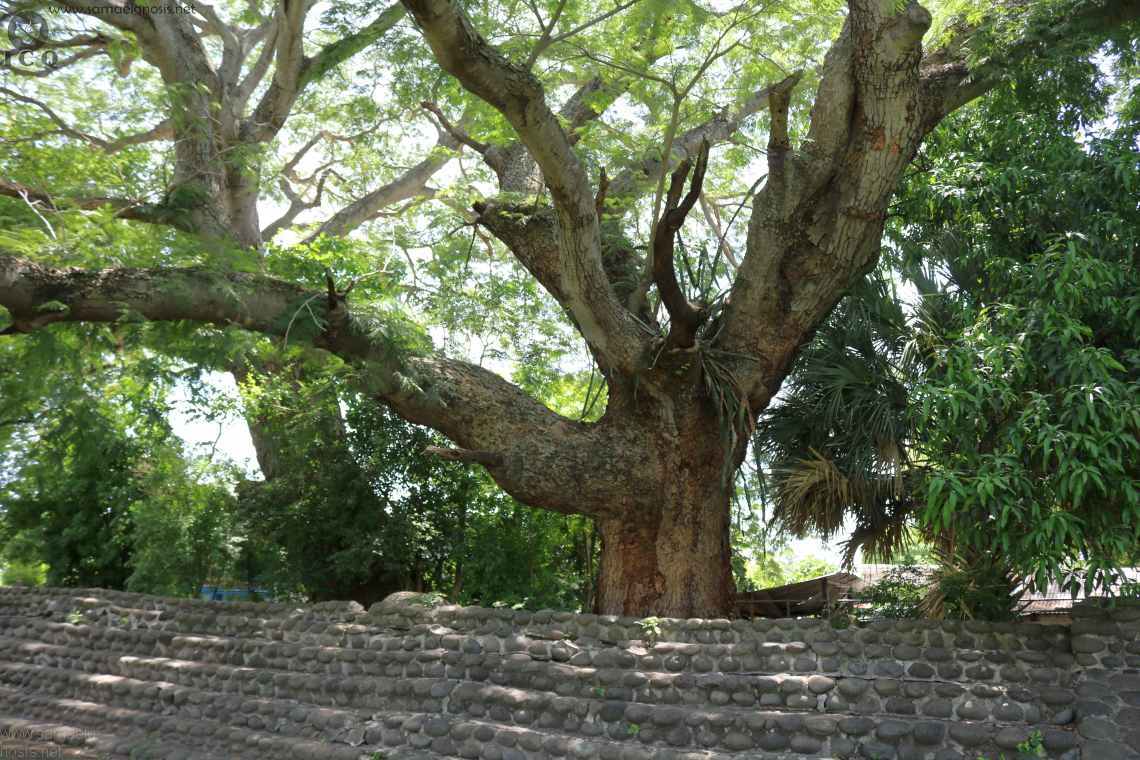 Zona Arqueológica de Cempoala Foto 148. Veracruz México. Gnosis ICQ