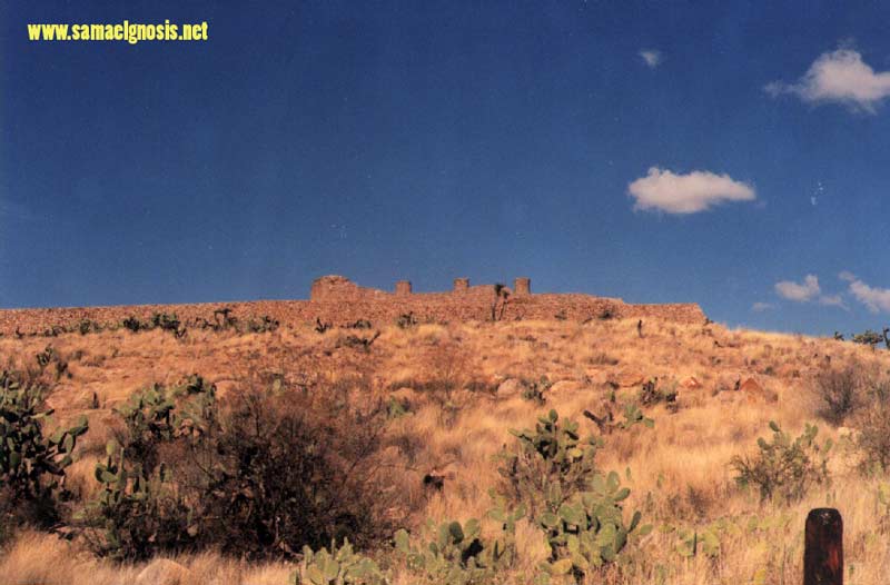 Zona Arqueológica de la Quemada 03