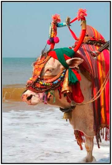 Los Cinco Aspectos de la Madre Divina . Revista 103